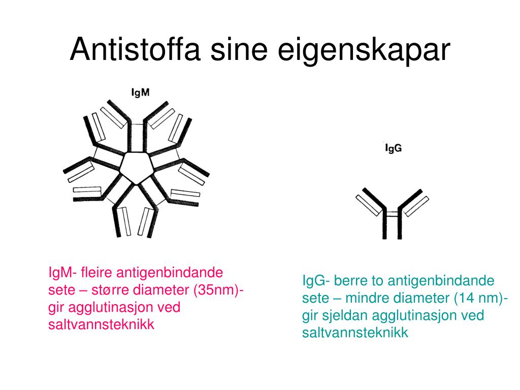 PPT - Teknikkar: Blodtypeserologiske metodar PowerPoint Presentation ...