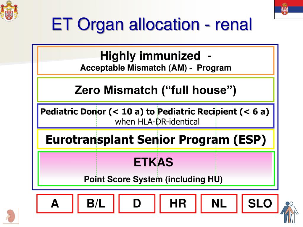 PPT - Eurotransplant - Principles of Organ Allocation Dr. Axel Rahmel ...
