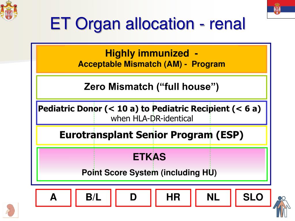 PPT - Eurotransplant - Principles of Organ Allocation Dr. Axel Rahmel ...