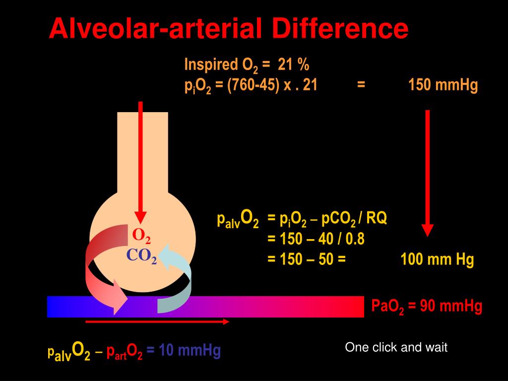 PPT - Arterial Blood Gas Analysis …..1 PowerPoint Presentation, free ...
