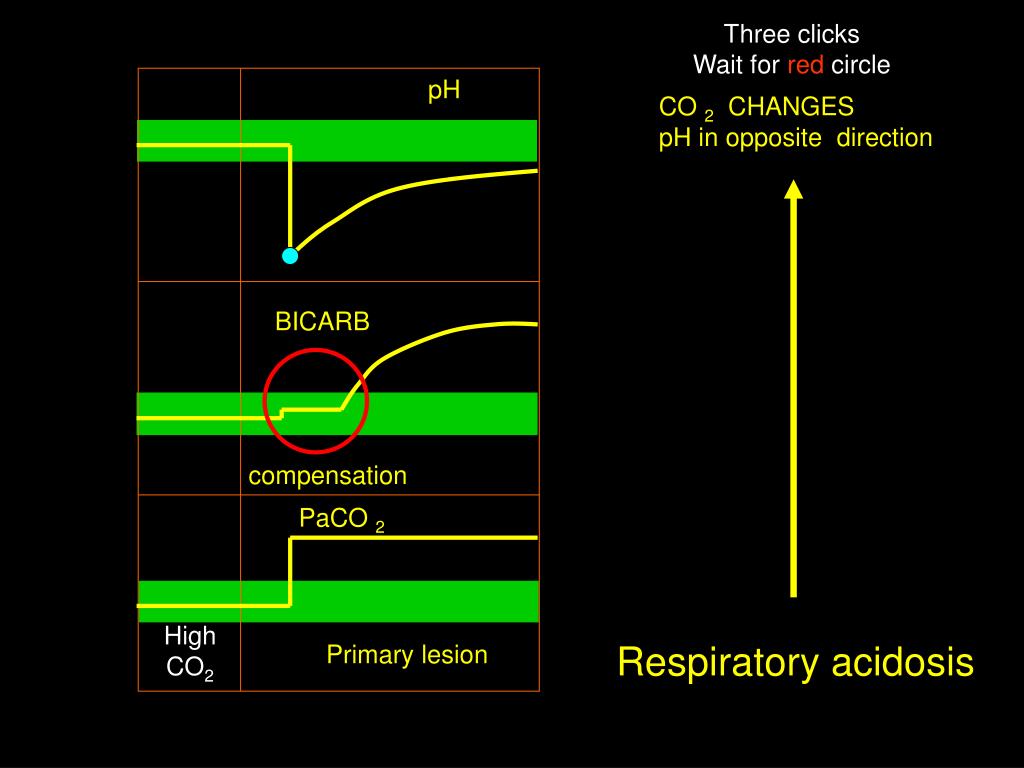 PPT - Arterial Blood Gas Analysis …..1 PowerPoint Presentation, free ...