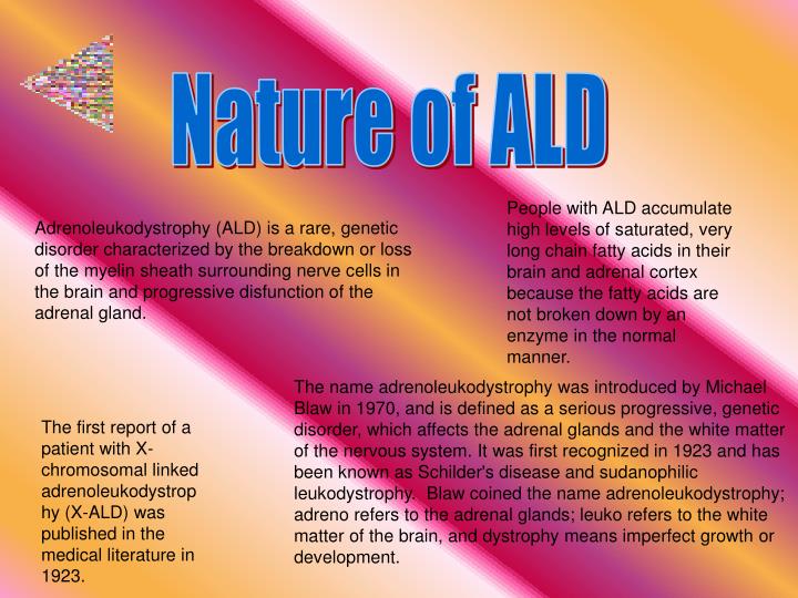PPT - Adrenoleukodystrophy (ALD) PowerPoint Presentation - ID:3255181
