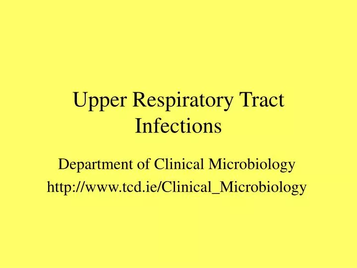 PPT - Upper Respiratory Tract Infections PowerPoint Presentation, free ...
