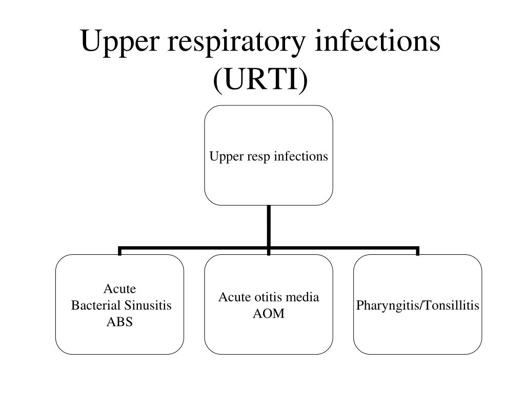 PPT - The therapy of respiratory infections PowerPoint Presentation ...