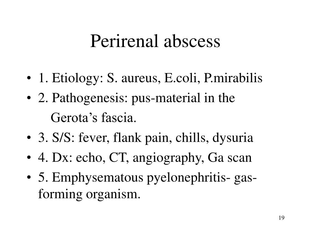 PPT - Urnary tract infectin, Acute pyelonephritis Renal and perirenal ...