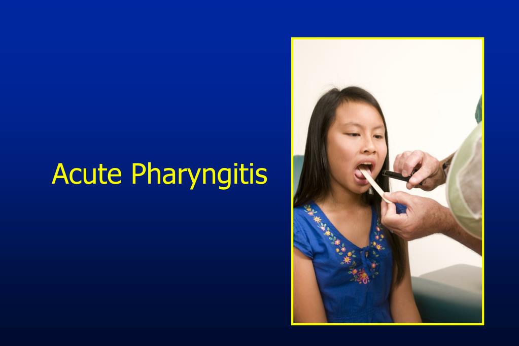 PPT - Common Respiratory Tract Infections: Evaluation and Therapy ...