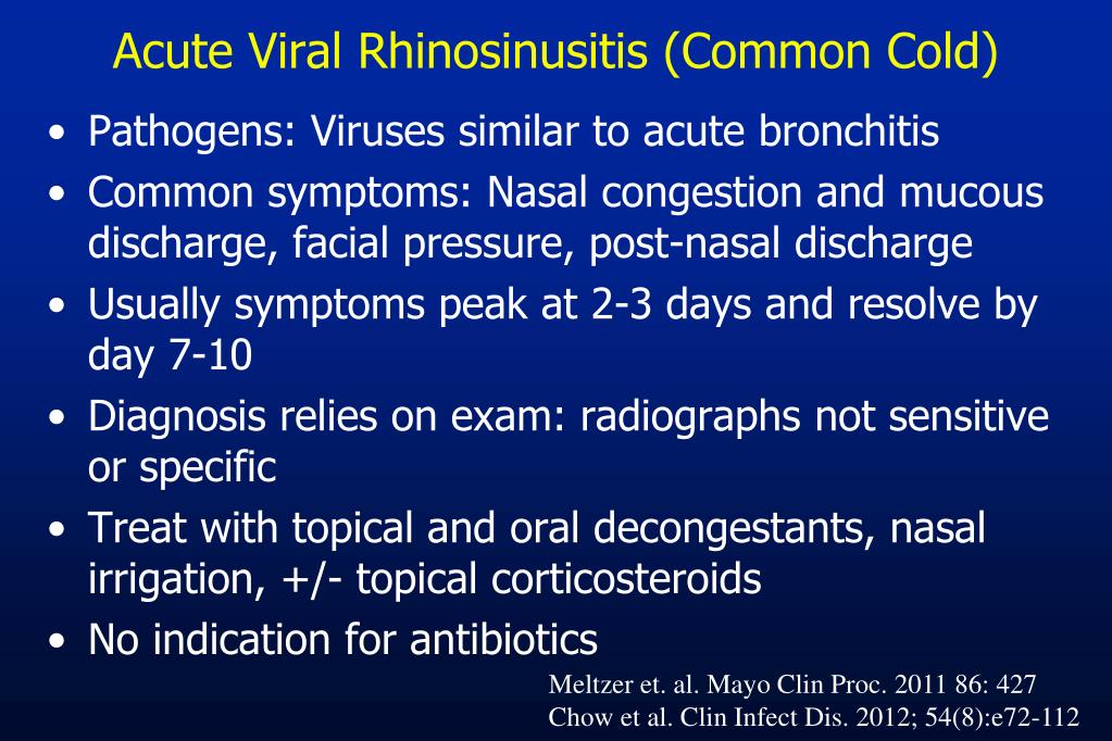 PPT - Common Respiratory Tract Infections: Evaluation and Therapy ...
