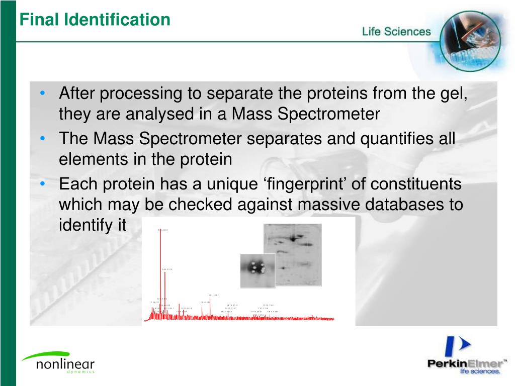 PPT - PerkinElmer Life Sciences Production Company Meeting - 1st ...