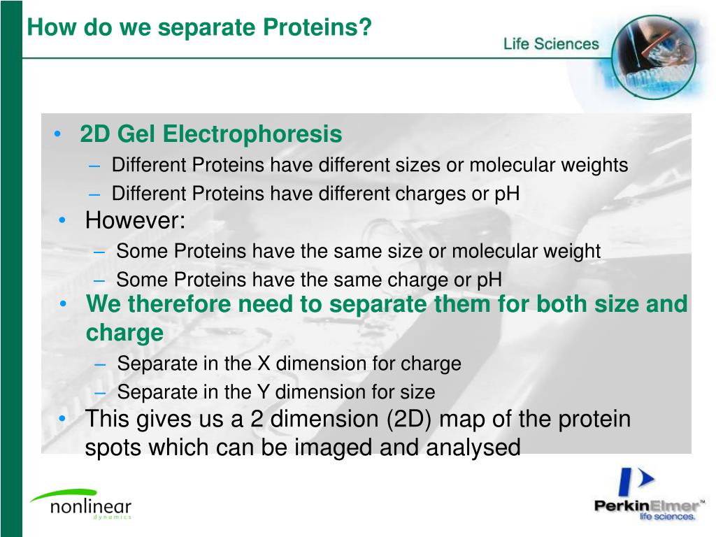 PPT - PerkinElmer Life Sciences Production Company Meeting - 1st ...