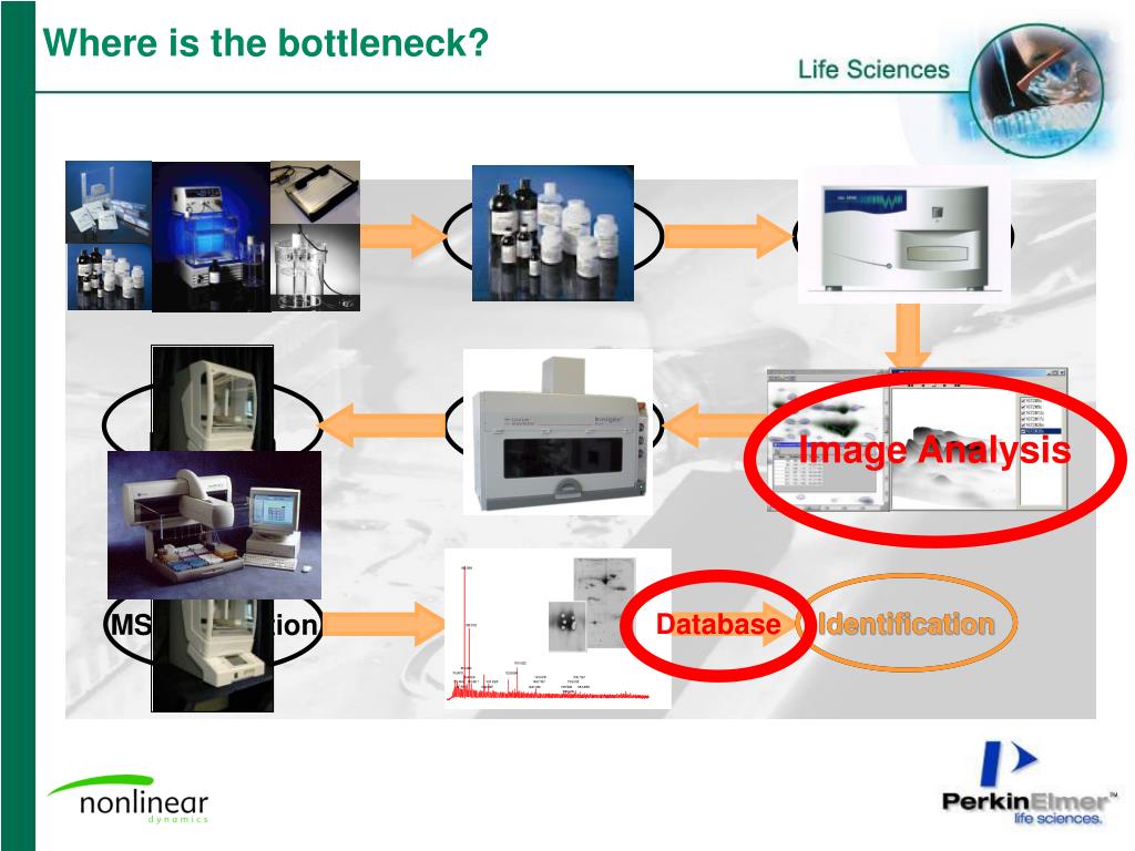 PPT - PerkinElmer Life Sciences Production Company Meeting - 1st ...