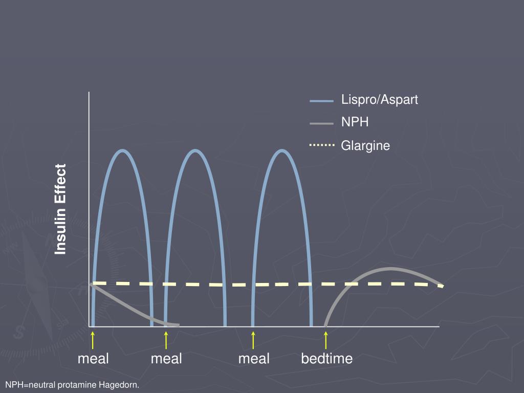 PPT - Mühazirə 3 Şəkərli Diabetin müalicə prinsipləri PowerPoint ...