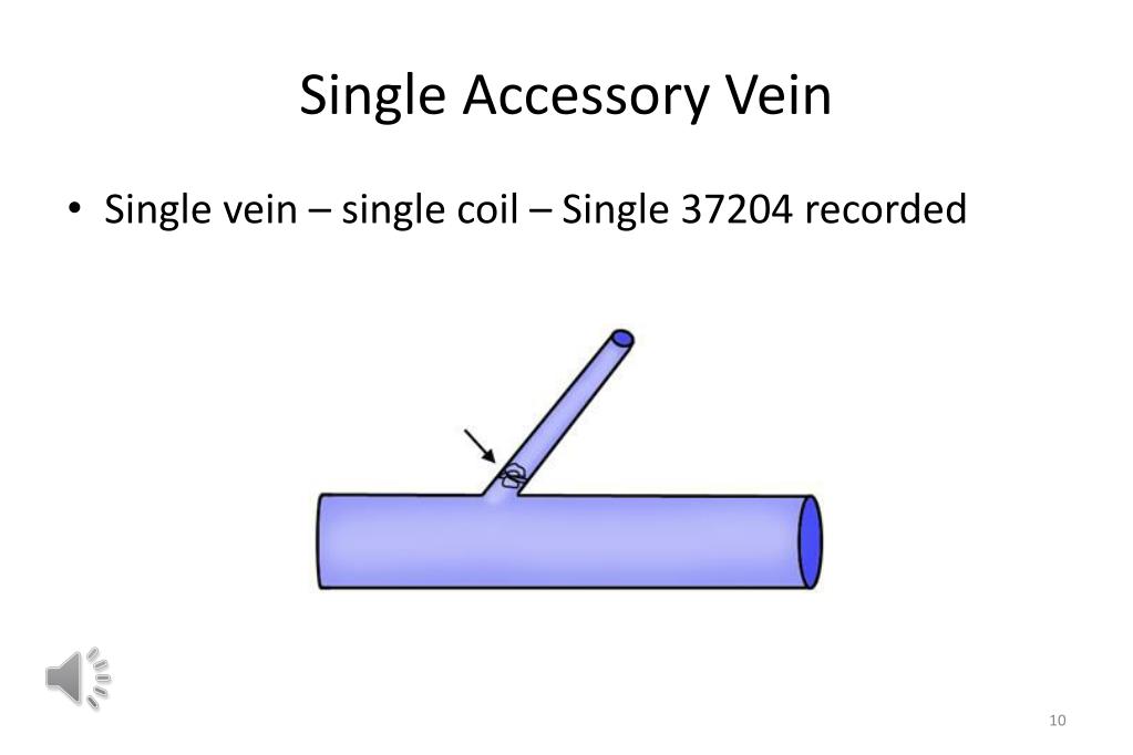 PPT - Treatment of Accessory Vein PowerPoint Presentation, free ...