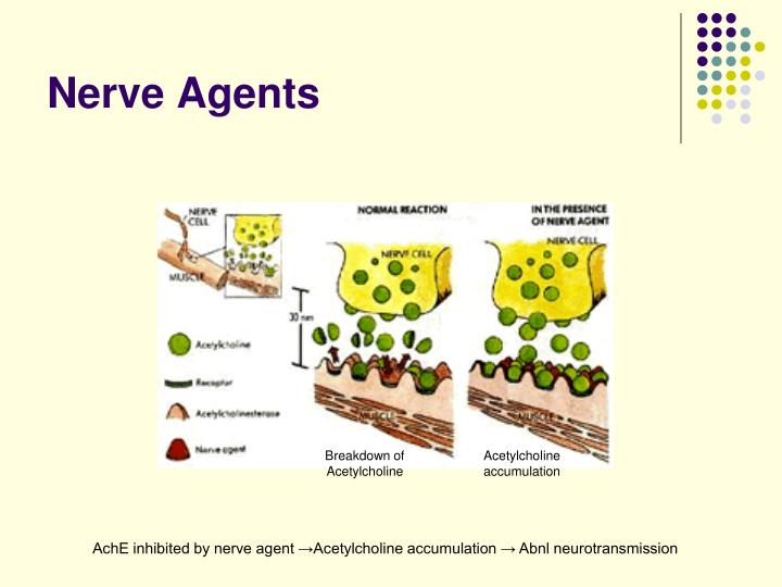 PPT - Chemical Terrorism PowerPoint Presentation - ID:3257377
