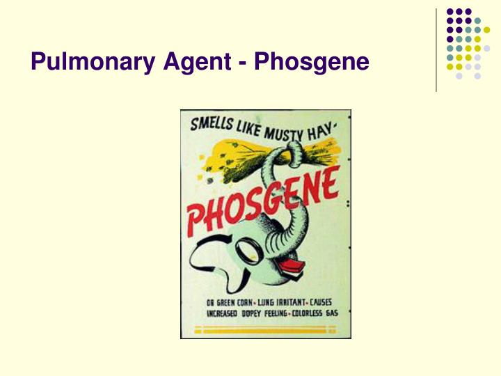 PPT - Chemical Terrorism PowerPoint Presentation - ID:3257377