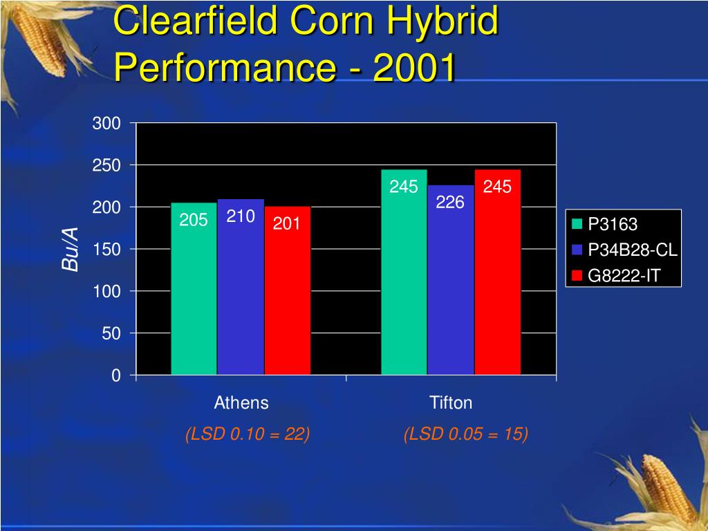 PPT - Herbicide Resistant Corn Hybrid Research in Georgia - 2001 ...