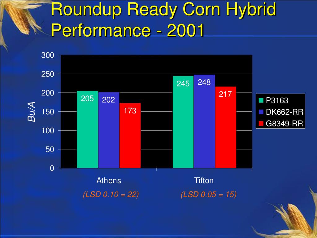 PPT - Herbicide Resistant Corn Hybrid Research in Georgia - 2001 ...