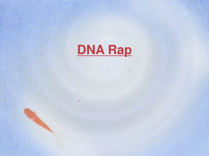 PPT - DNA Rap PowerPoint Presentation, free download - ID:3258047