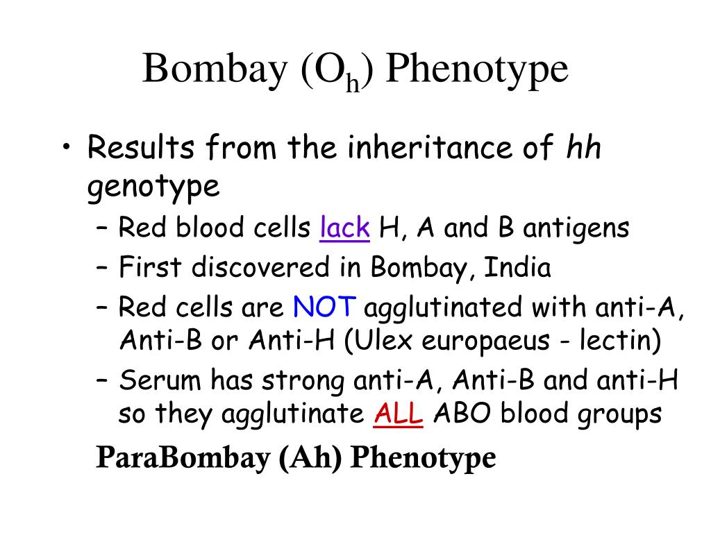 PPT - History ABO System Phenotype ABO System Genotype Rh system Other ...