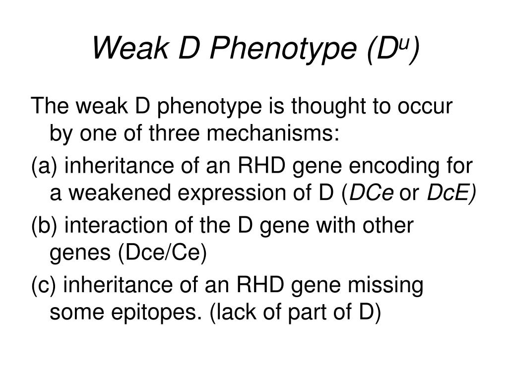 PPT - History ABO System Phenotype ABO System Genotype Rh system Other ...