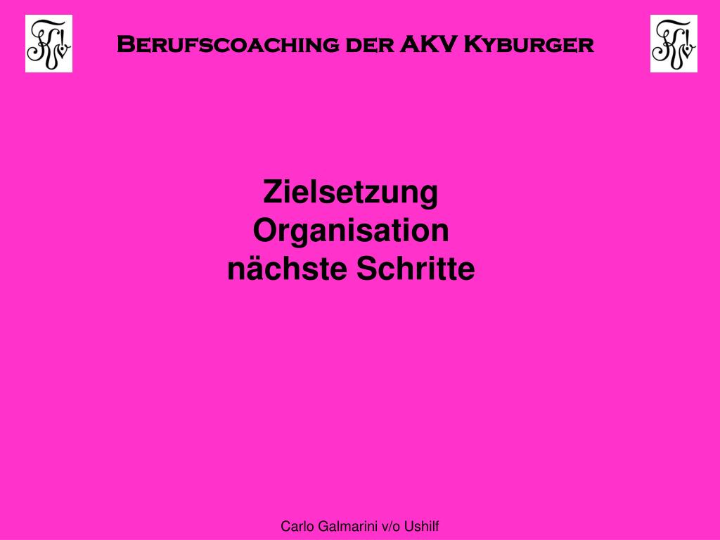 PPT - Zielsetzung Organisation nächste Schritte PowerPoint Presentation - ID:3258994