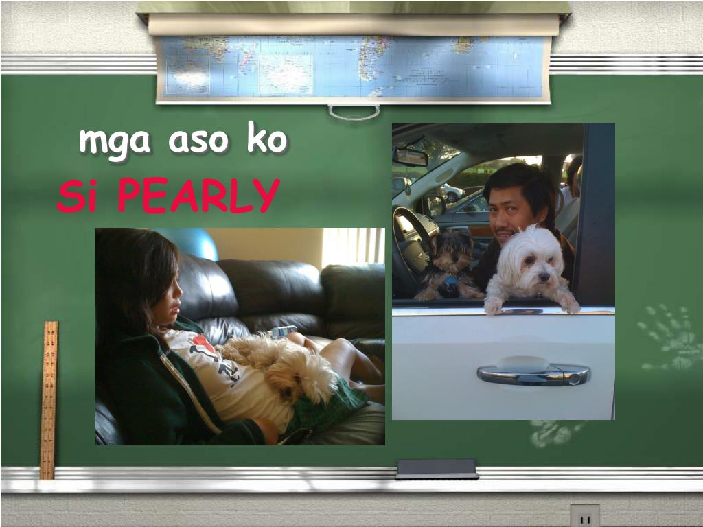 PPT - Kung paano turuan isang aso! PowerPoint Presentation, free ...