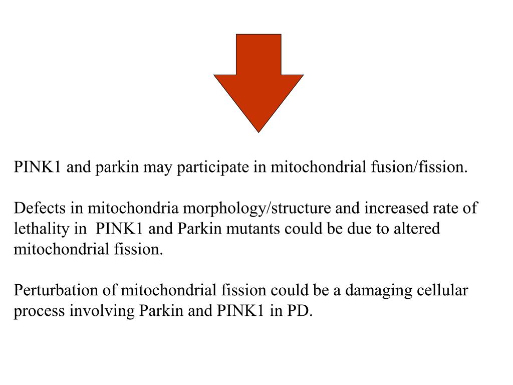 PPT - February 19 th BIOS E108 Parkinson’s disease: Parkin and PINK1 ...