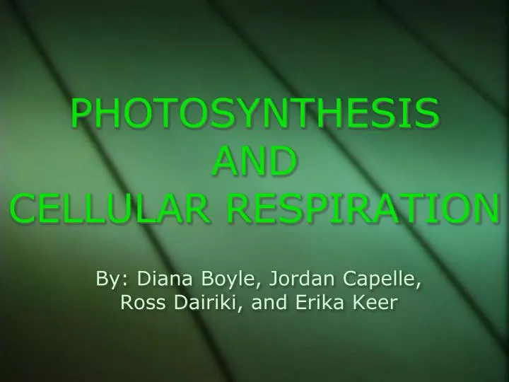 PPT - PHOTOSYNTHESIS AND CELLULAR RESPIRATION PowerPoint Presentation ...