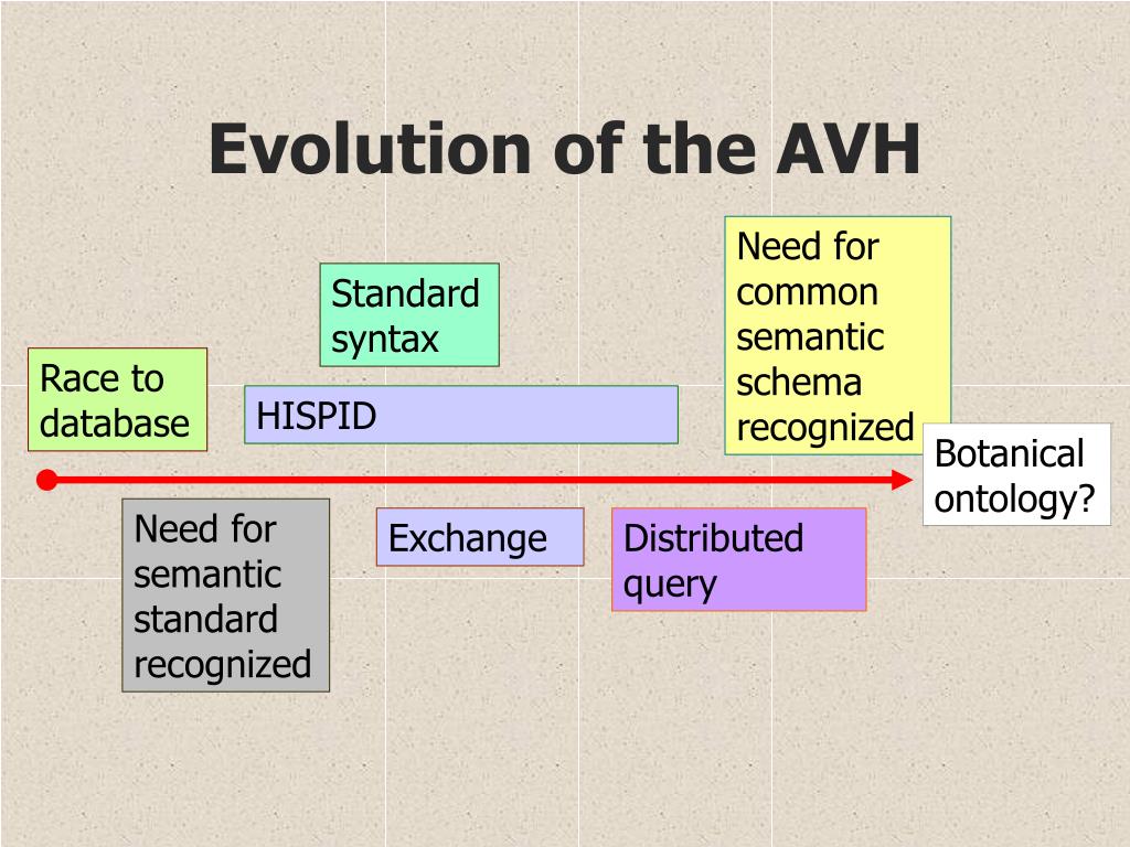 PPT - AVH - Australia’s Virtual Herbarium Logo PowerPoint Presentation ...