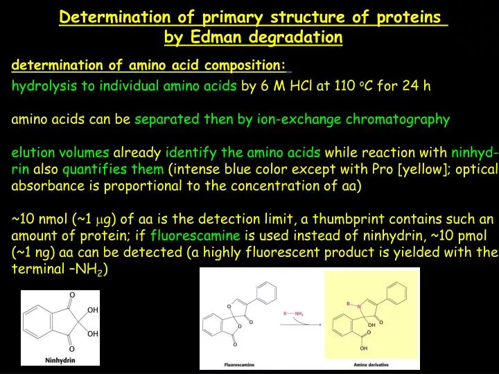 PPT - Determination of primary structure of proteins by Edman ...
