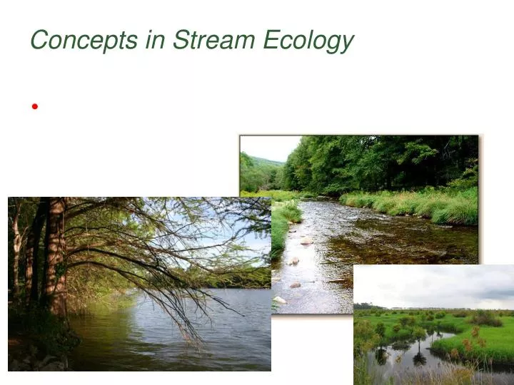 PPT - Concepts in Stream Ecology PowerPoint Presentation, free download ...