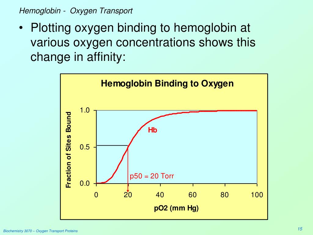 PPT - Oxygen Transport Proteins: Myoglobin & Hemoglobin PowerPoint ... PPT - Oxygen Transport Proteins: Myoglobin & Hemoglobin PowerPoint ...