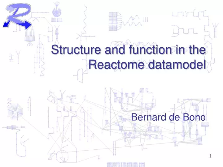 PPT - Structure and function in the Reactome datamodel PowerPoint Presentation - ID:3260863
