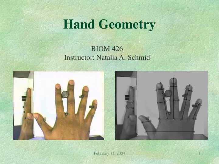 PPT - Hand Geometry PowerPoint Presentation, free download - ID:3261062