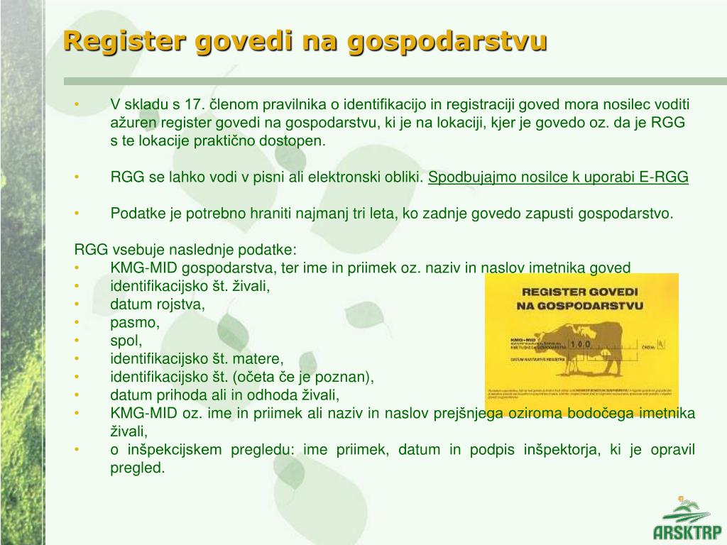 PPT - Kontrola govedi na kraju samem 2010 PowerPoint Presentation, free ...