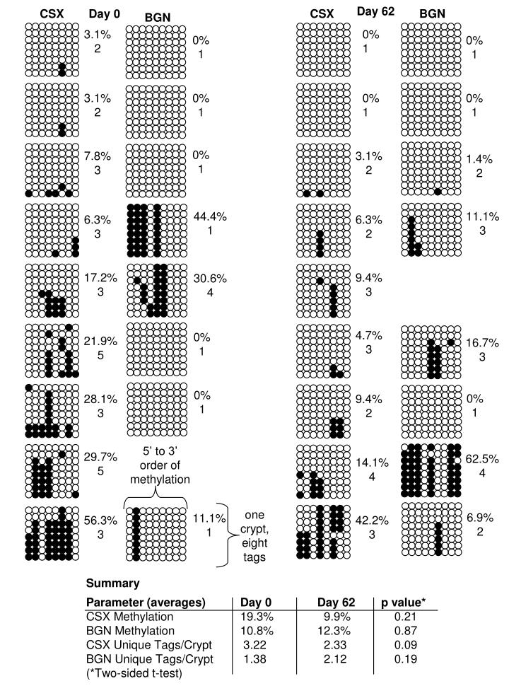 PPT - CSX PowerPoint Presentation, free download - ID:3261752