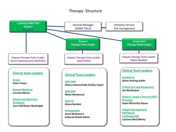 PPT - Therapy Structure PowerPoint Presentation, free download - ID:3261839
