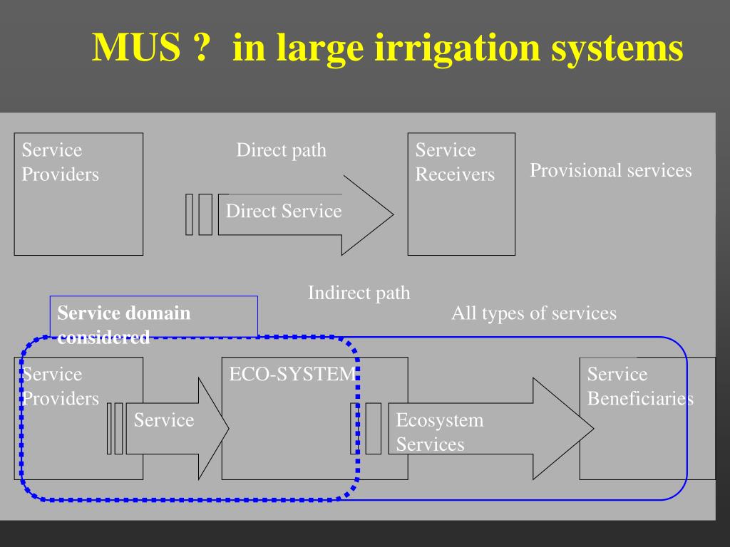 PPT - MASSMUS Guidelines for Assessing MUS in Irrigation Systems Daniel ...