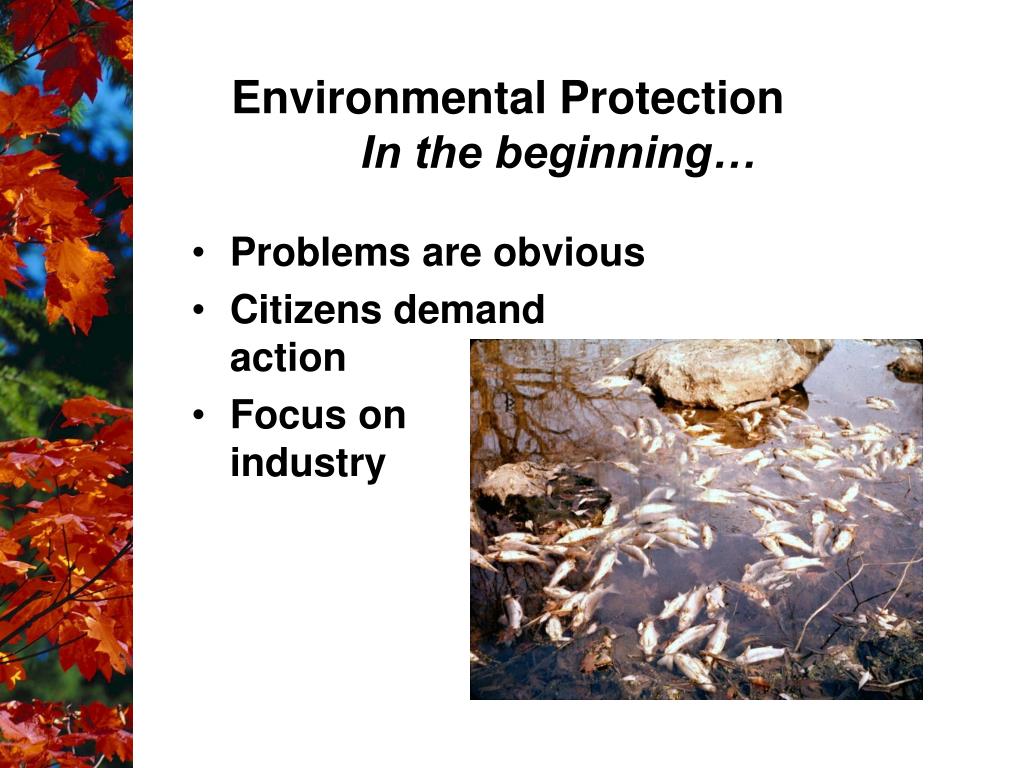 PPT - Environmental Leadership in the Coming Decades PowerPoint ...