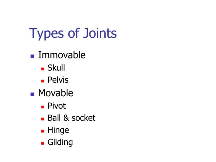 PPT - Bones & Muscles PowerPoint Presentation - ID:3262324