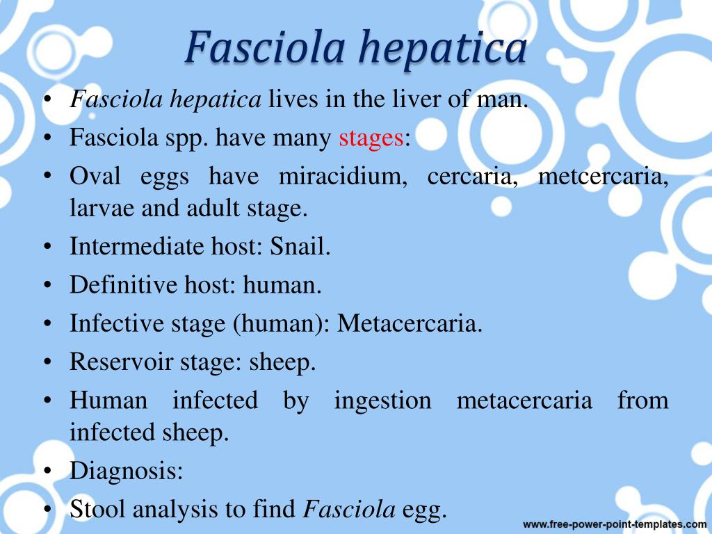 PPT - Medical Parasitology Lab. PowerPoint Presentation, free download ...