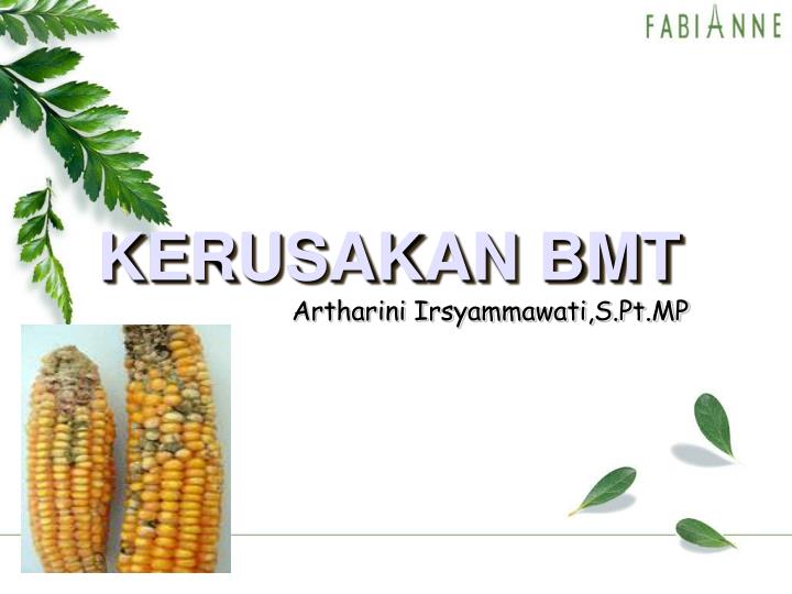 PPT - KERUSAKAN BMT PowerPoint Presentation, free download - ID:3263093