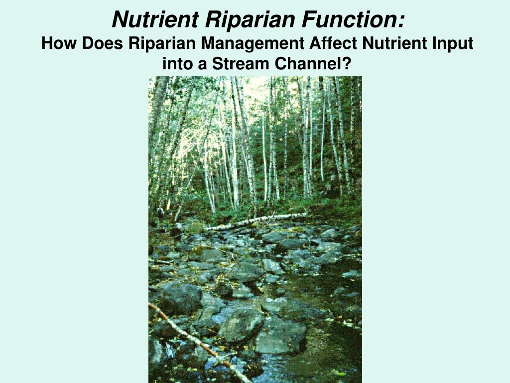 PPT - Literature Review for the Threatened or Impaired Watersheds ...