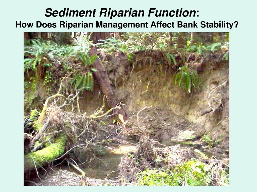 PPT - Literature Review for the Threatened or Impaired Watersheds ...