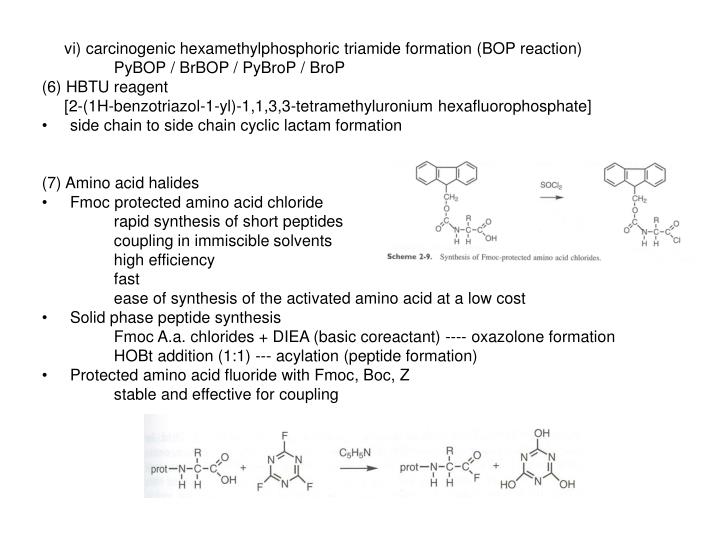 PPT - Chemical Synthesis of Peptides PowerPoint Presentation - ID:3263248