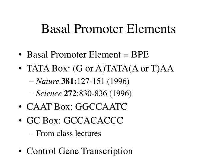 PPT - Basal Promoter Elements PowerPoint Presentation, free download ...