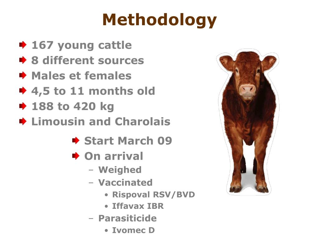 PPT - Gamithromycin PowerPoint Presentation, free download - ID:3263754