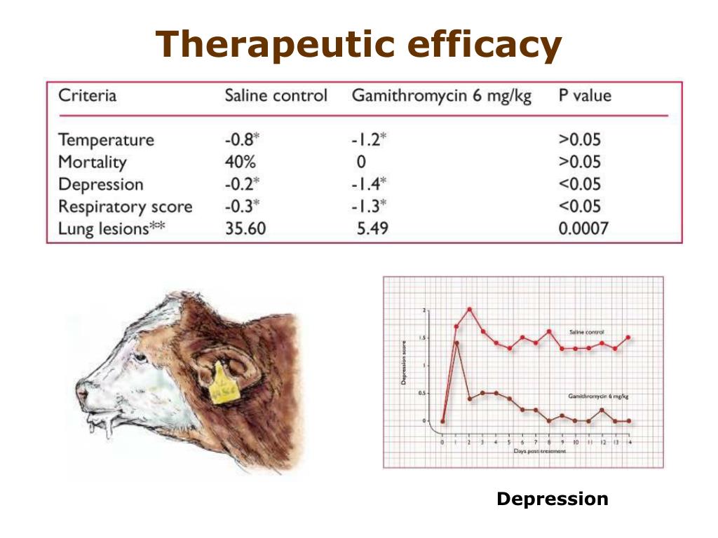 PPT - Gamithromycin PowerPoint Presentation, free download - ID:3263754
