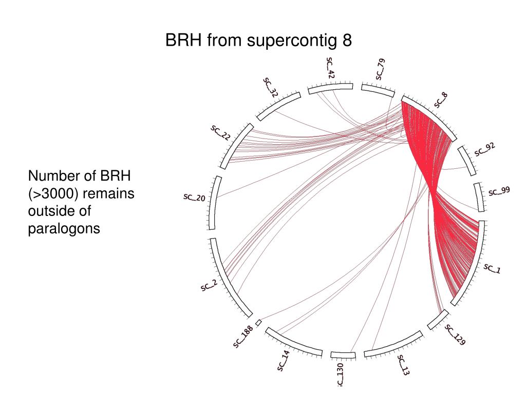 PPT - The impact of whole genome duplications: insights from Paramecium ...