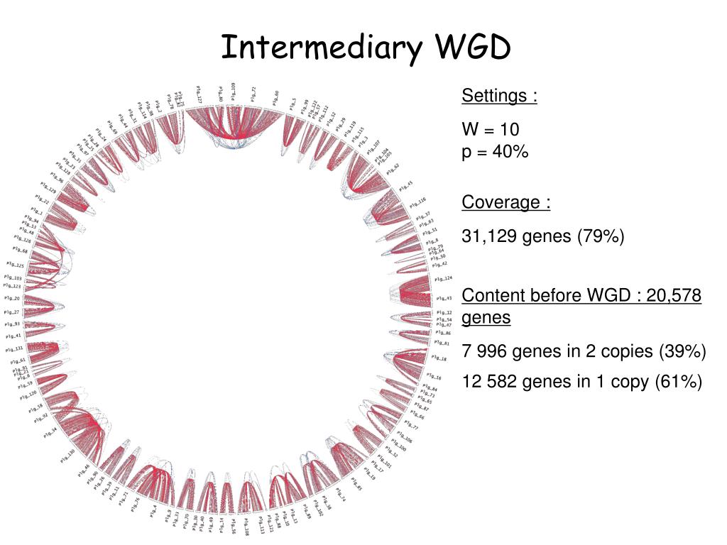 PPT - The impact of whole genome duplications: insights from Paramecium ...