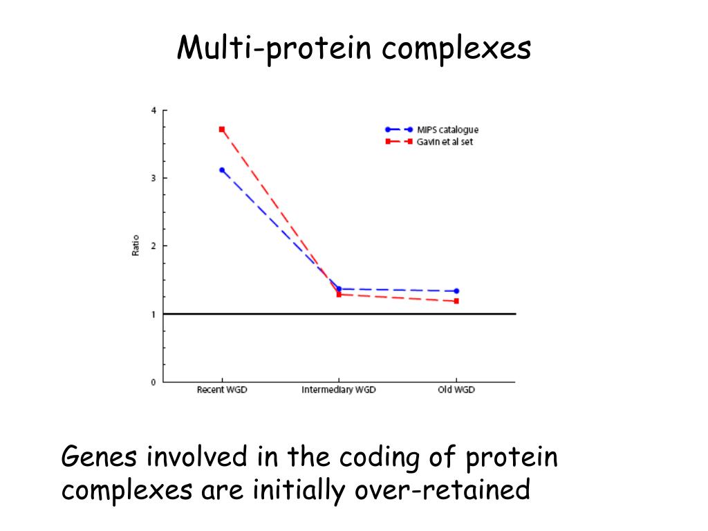 PPT - The impact of whole genome duplications: insights from Paramecium ...